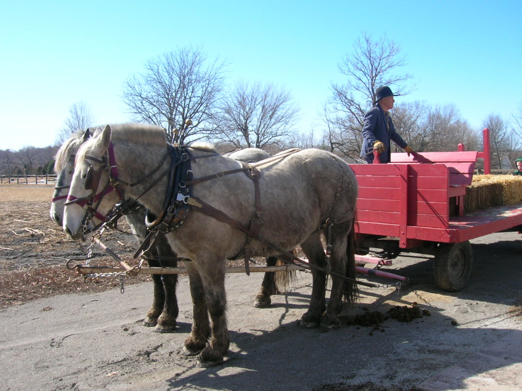 Homeschool Day at Mahaffie Stagecoach Stop & Farm - JoCo Homeschool